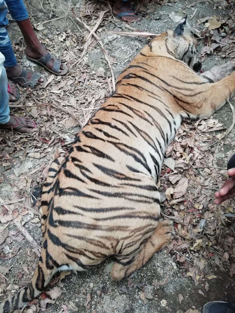 Tabish Sheikh (@Tabish_Og) | Twitter