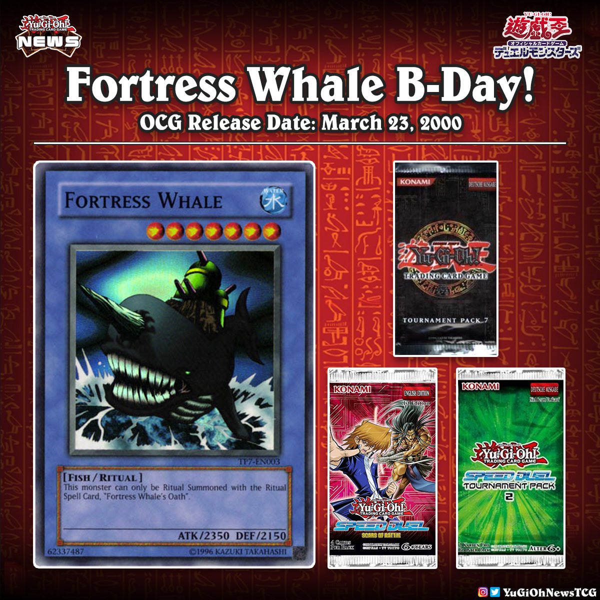 Fortress Whale