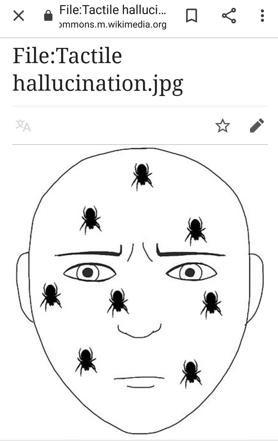 Tactile Hallucinations