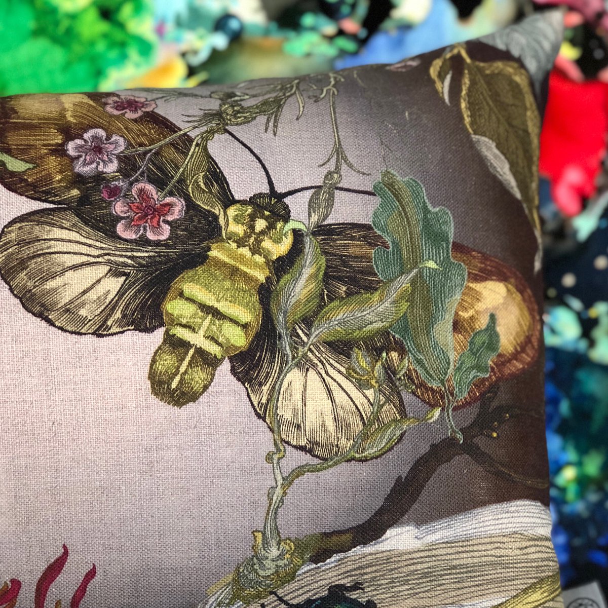 Timorous Beasties Shop | Timorous Beasties