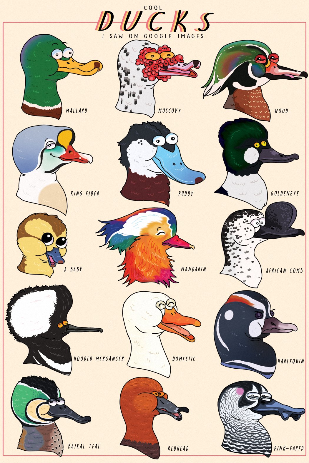 Cursed Images Of Ducks