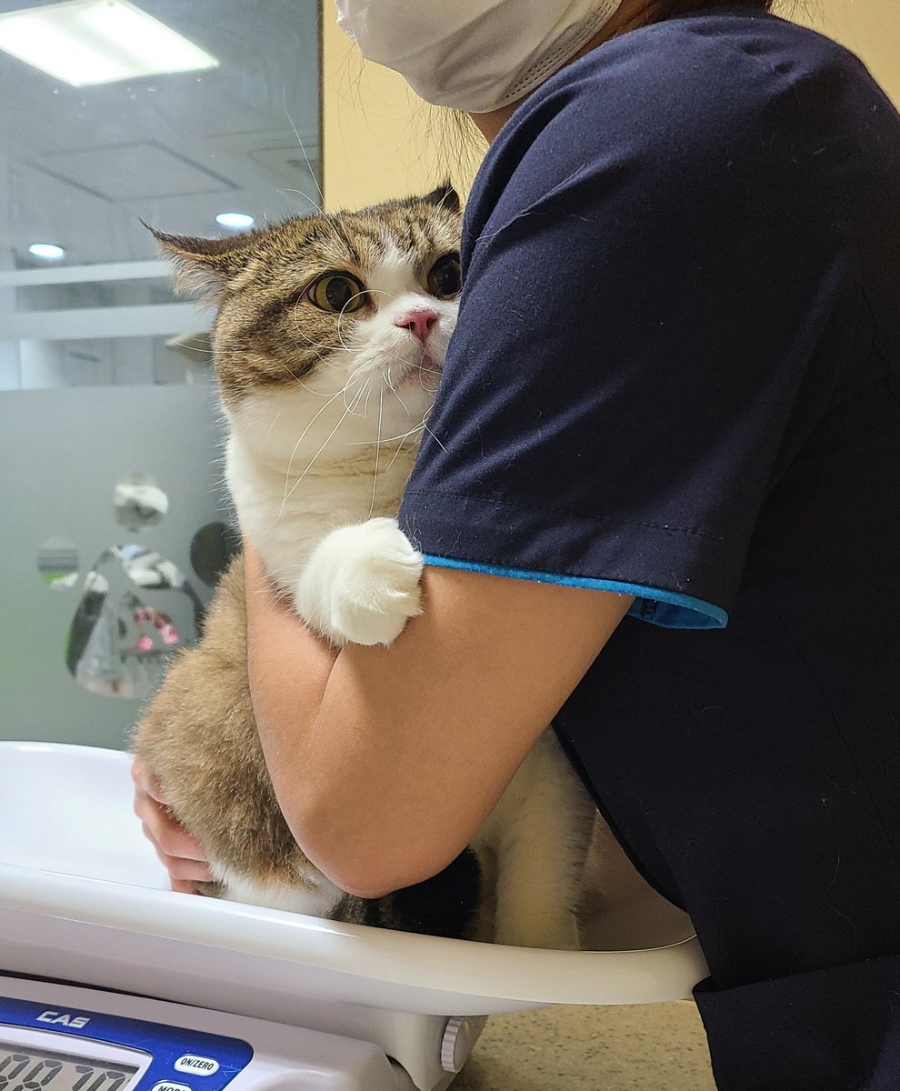 Twoucan - 유보라/yoovora (@yoovora)