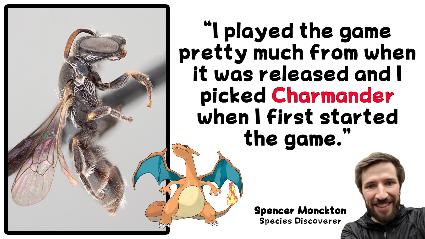 Pokemon Real Life Charizard