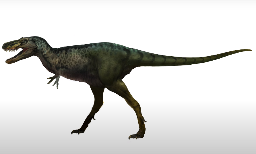 Allosaurus Jurassic Fight Club