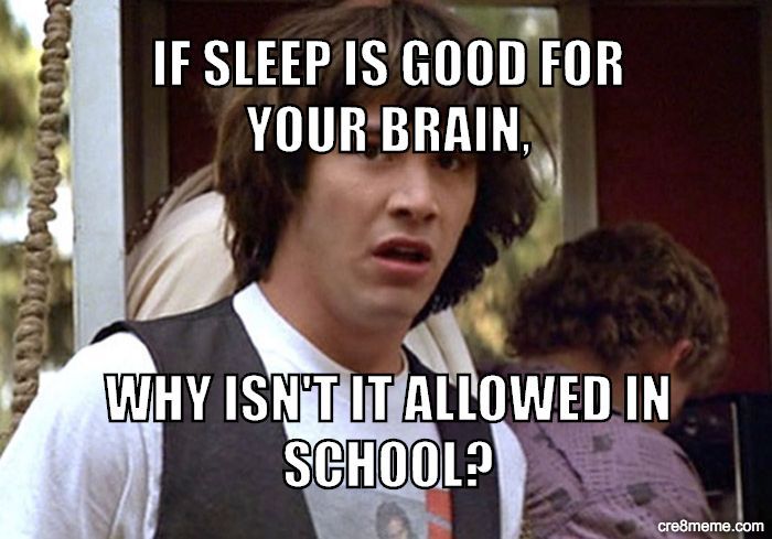 Sleeping In Class Meme