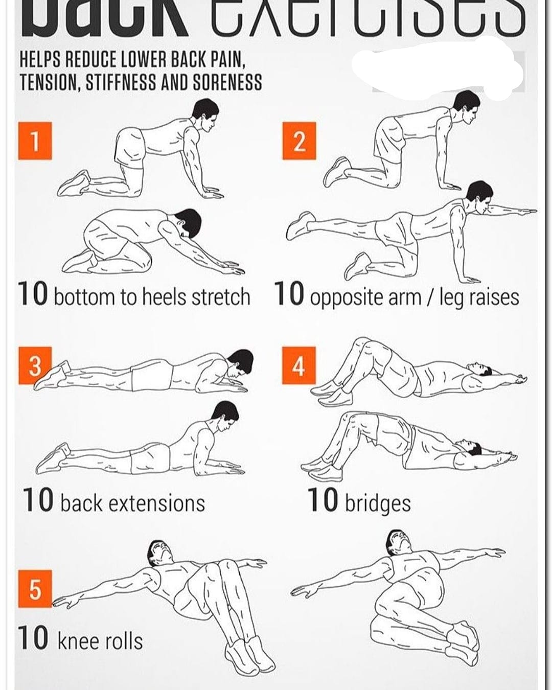 Lower Back Exercise Chart