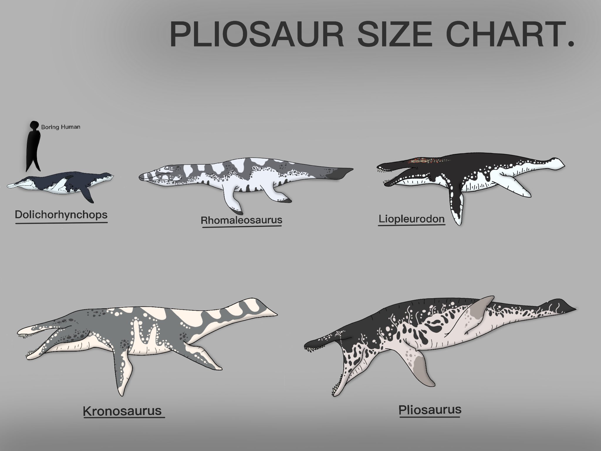 Liopleurodon Size Compared To Human