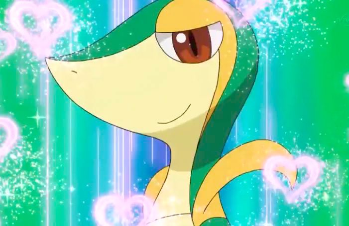 Snivy Attract Gif