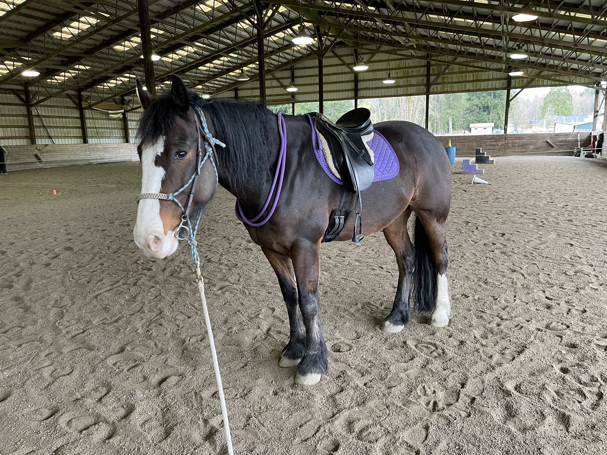 TW Pornstars - 🌸 Ashley Aoki 🌸. Twitter. wasn't able to get a great pic ...