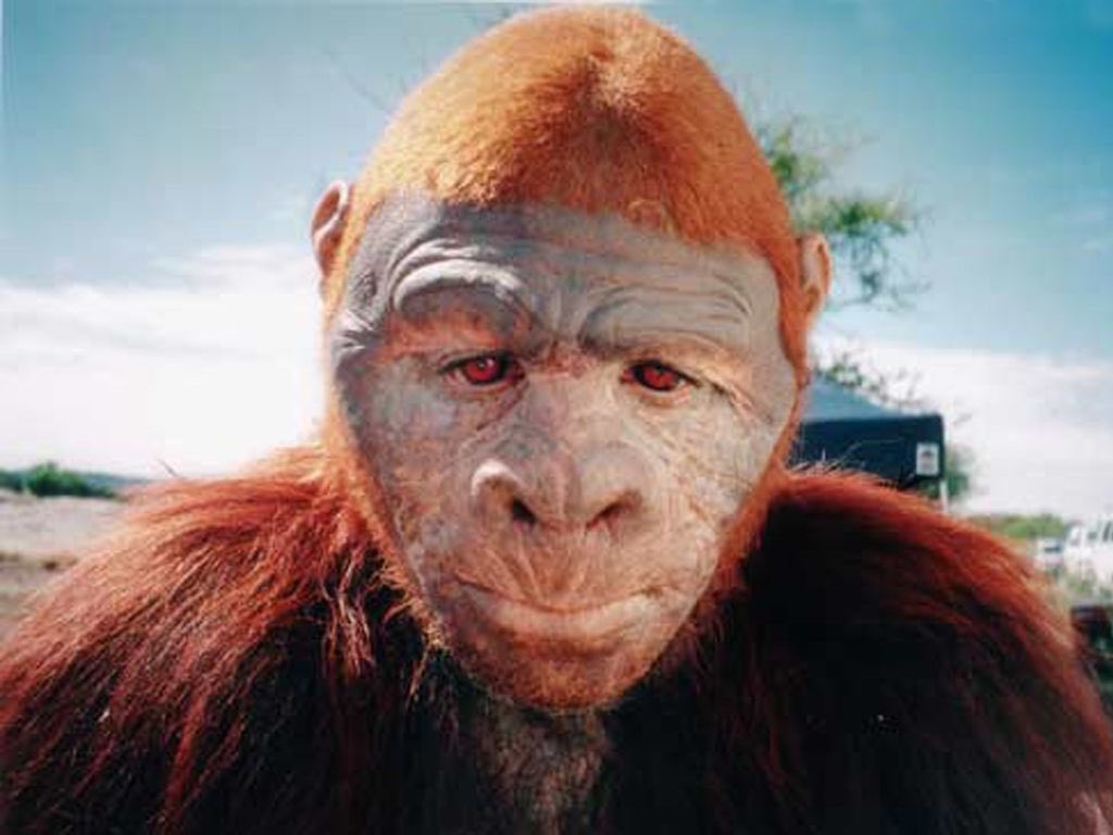 Walking With Cavemen Australopithecus