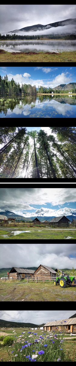 Junyi (@Junyi83911405) | Twitter