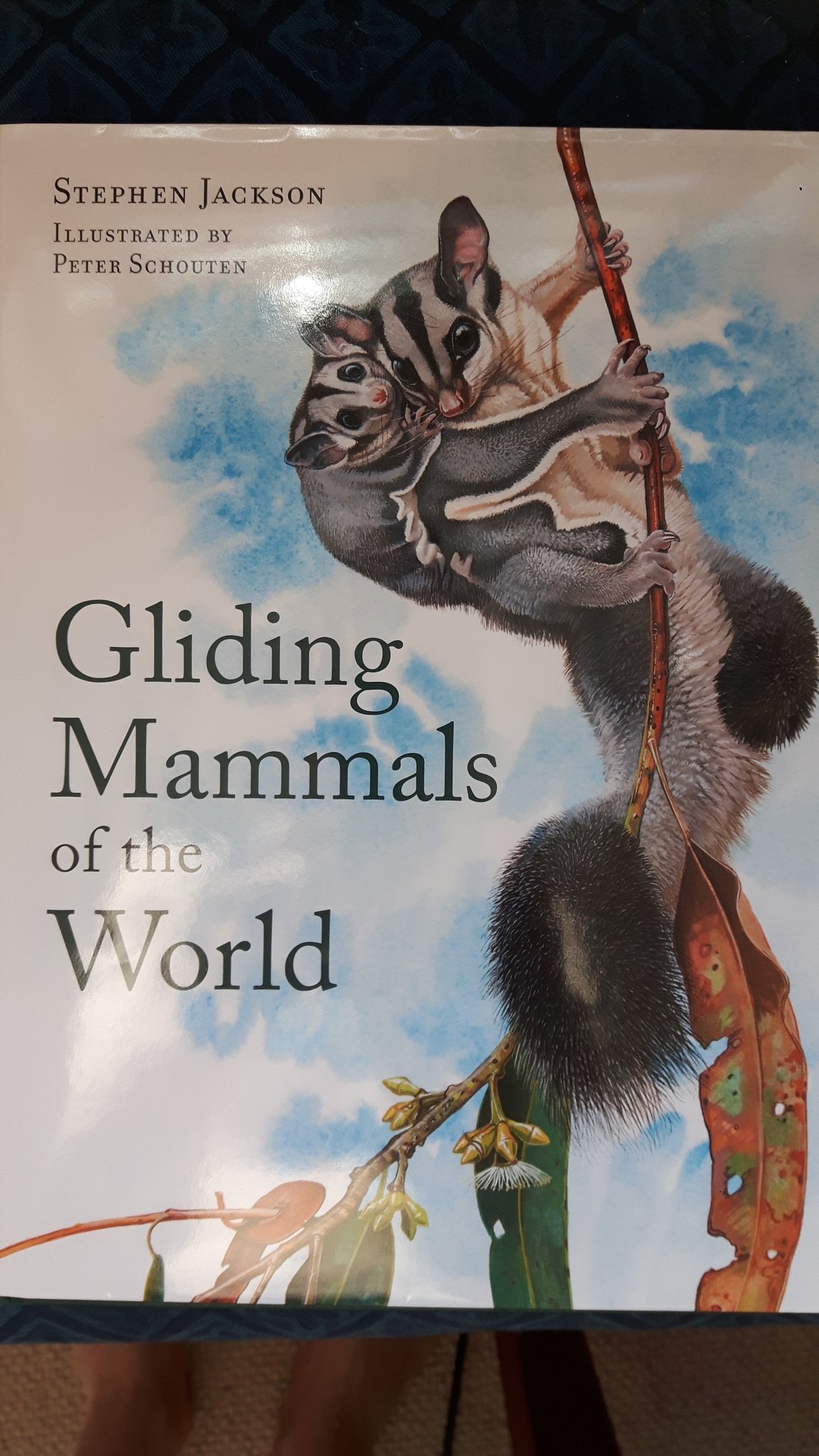 Gliding Mammals