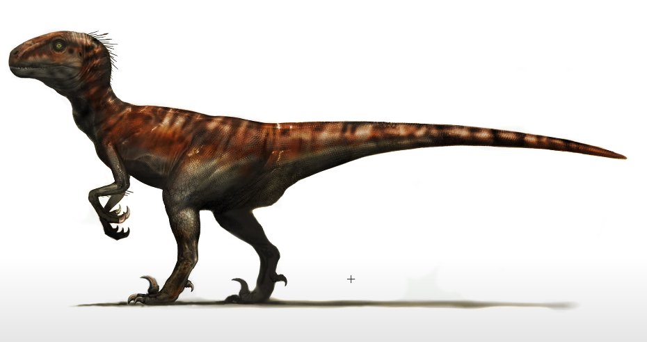 Utahraptor Jurassic Fight Club