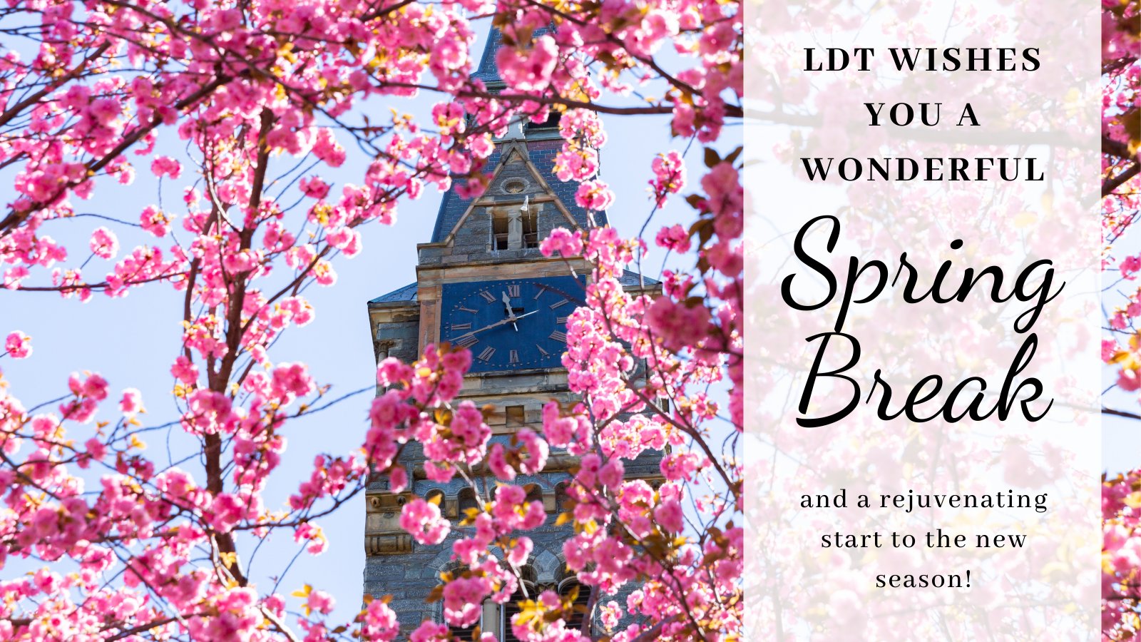 Happy Spring Break Quotes