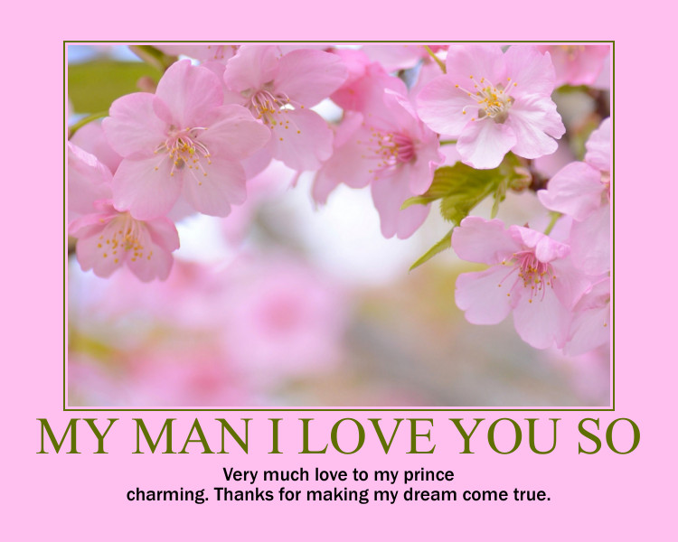 I Love My Prince Charming