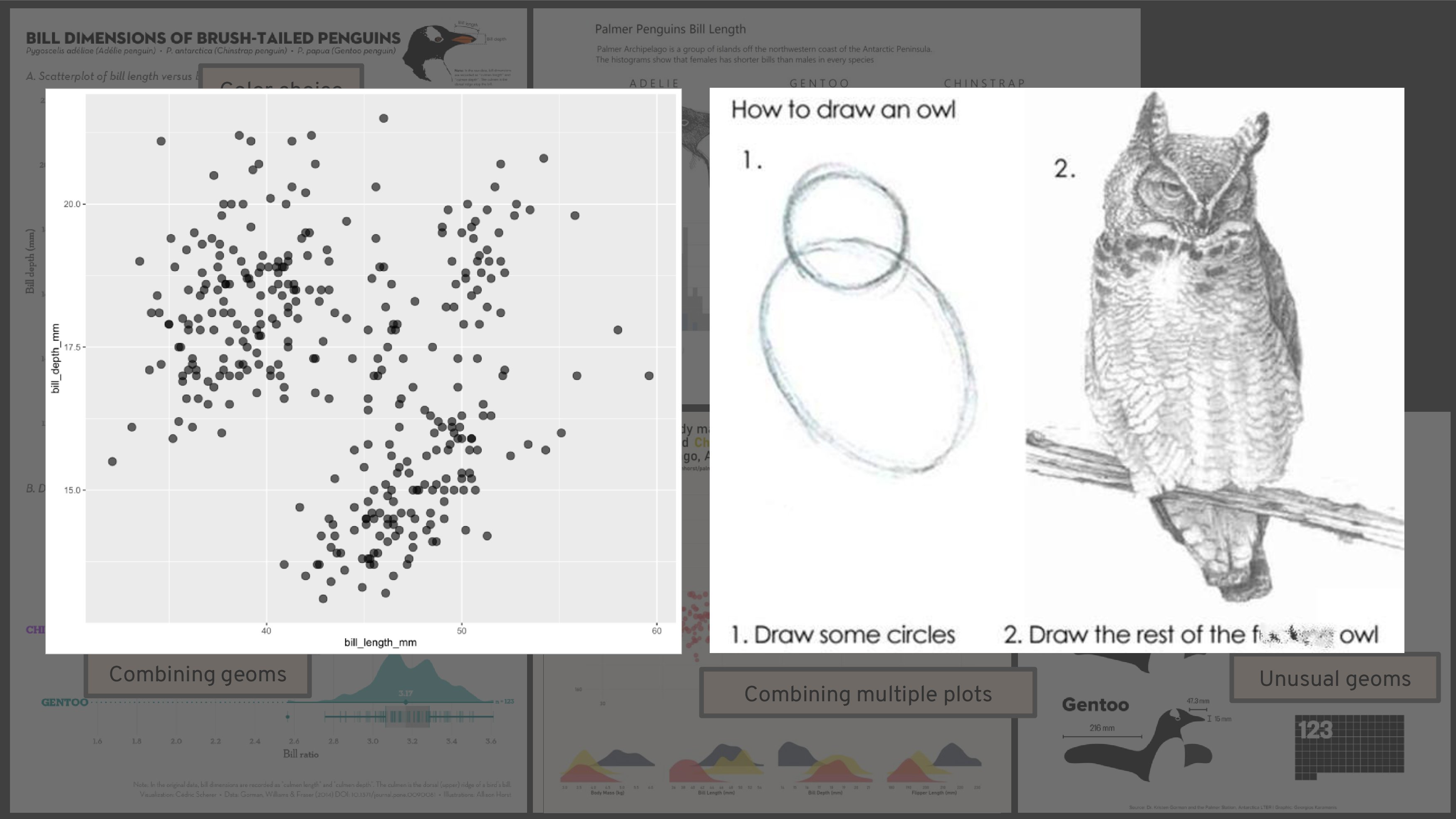 Cédric Scherer on Twitter: "📊🧵 Collection of tweets featuring open-access materials that I have ...
