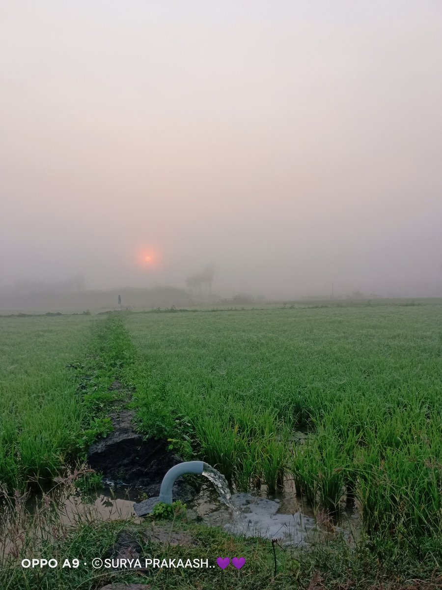 Janaki Prakash Avirendla (@JAvirendla) | Twitter