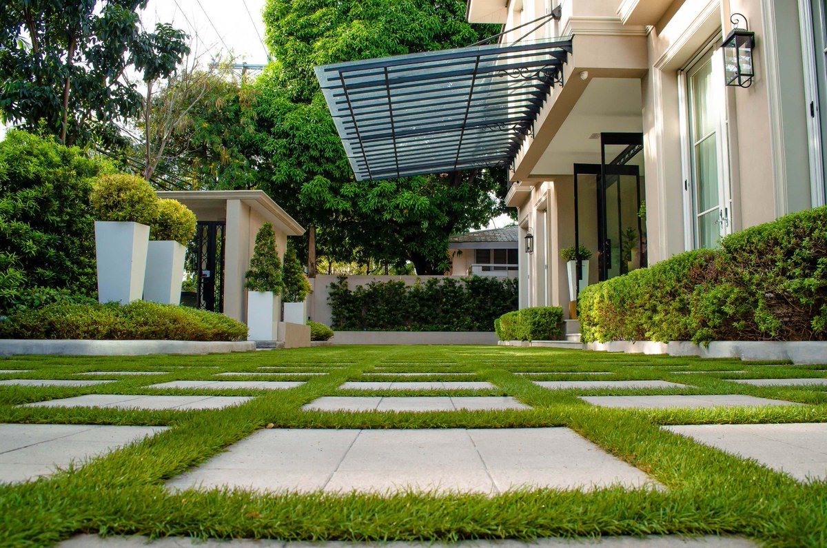 Planitree (@planitree) | Twitter