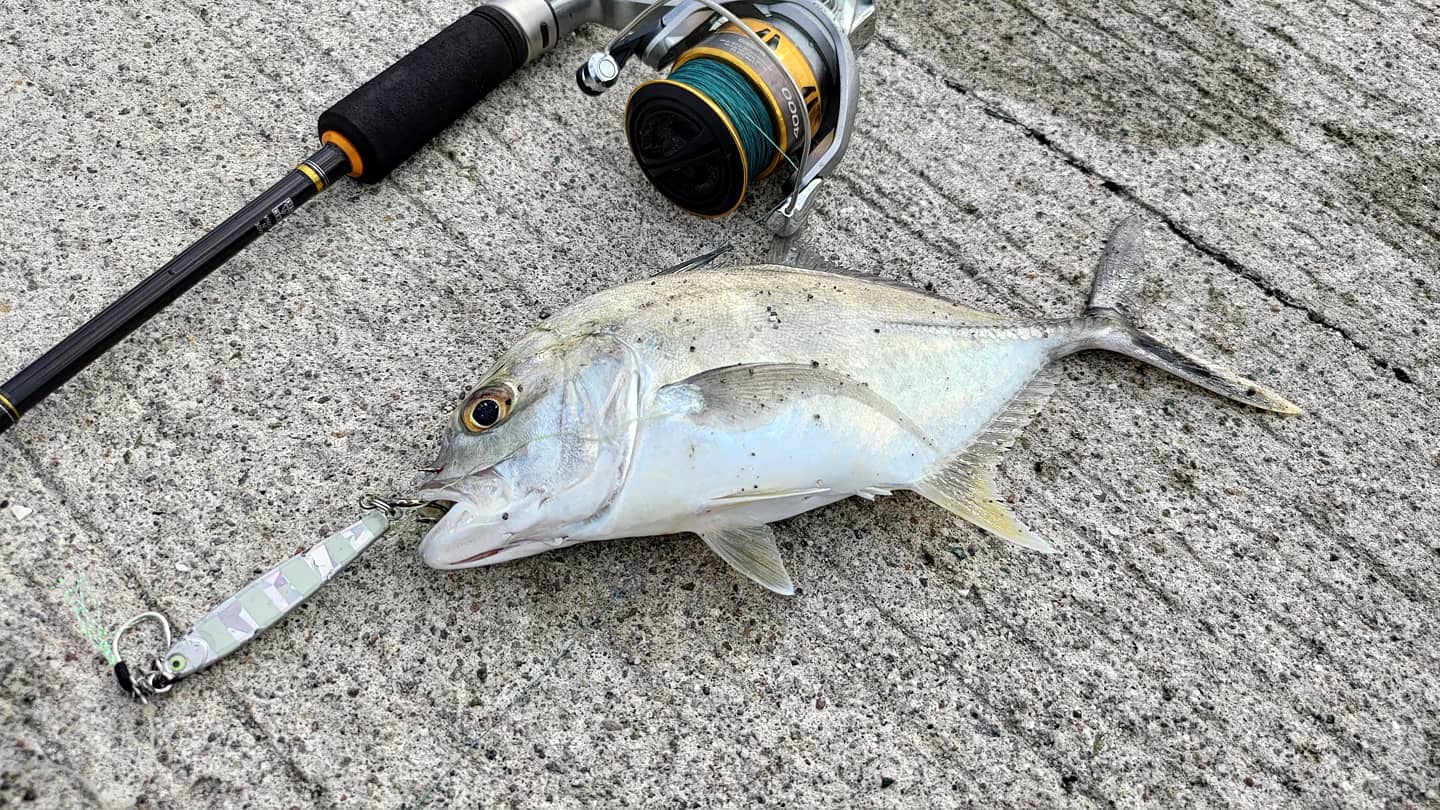 Talakitok Fishing Trevally [Talakitok] | Catch And Released | Inshore