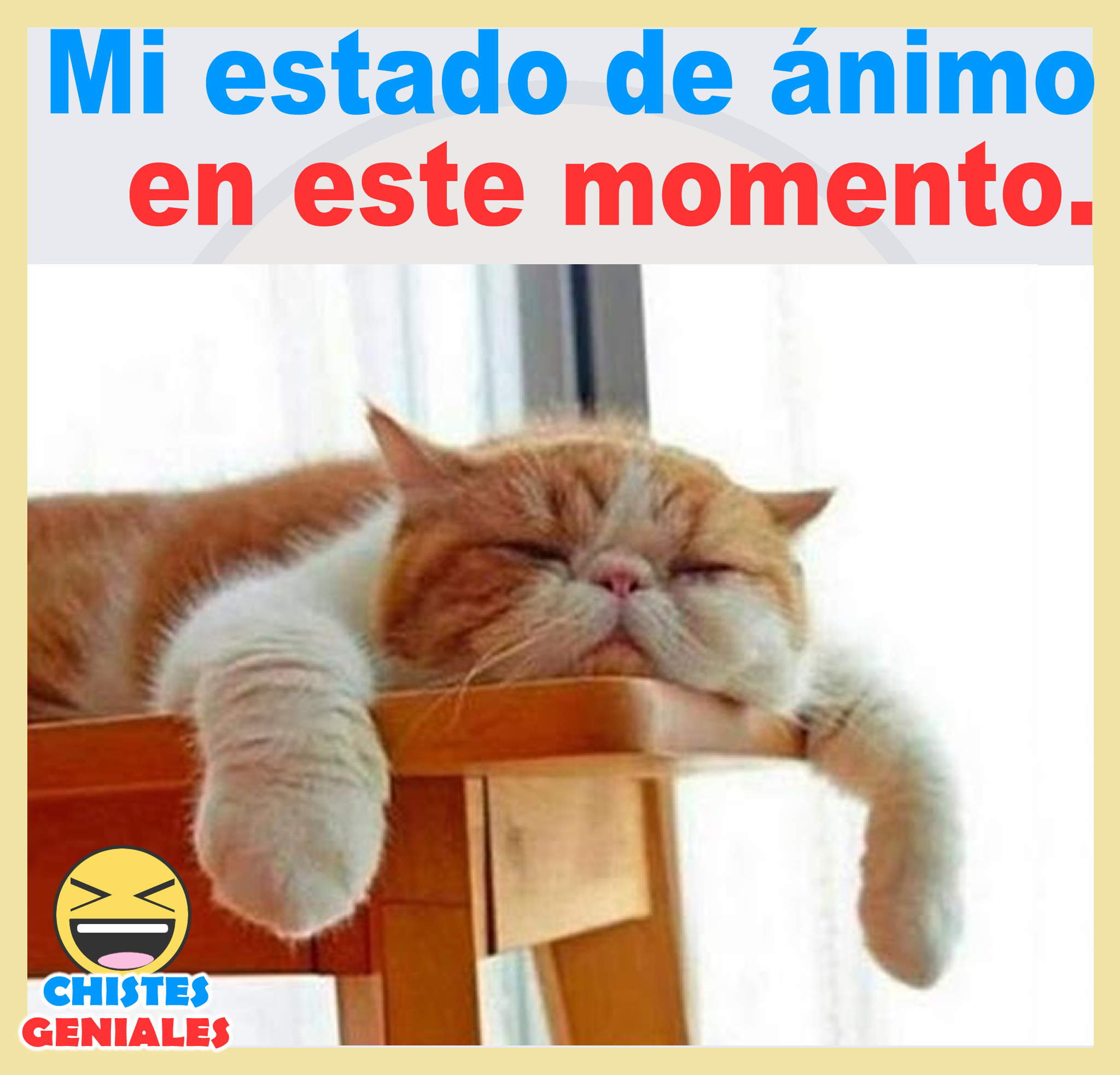 Estados De Animo Memes 20 Divertidas Imágenes De Perritos Que Te