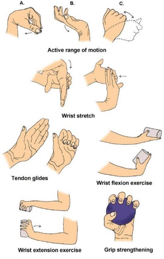 Anatomy of the hand 🖐🏼🔬! ⠀⠀⠀⠀ - المسلسل من فريق تعزي