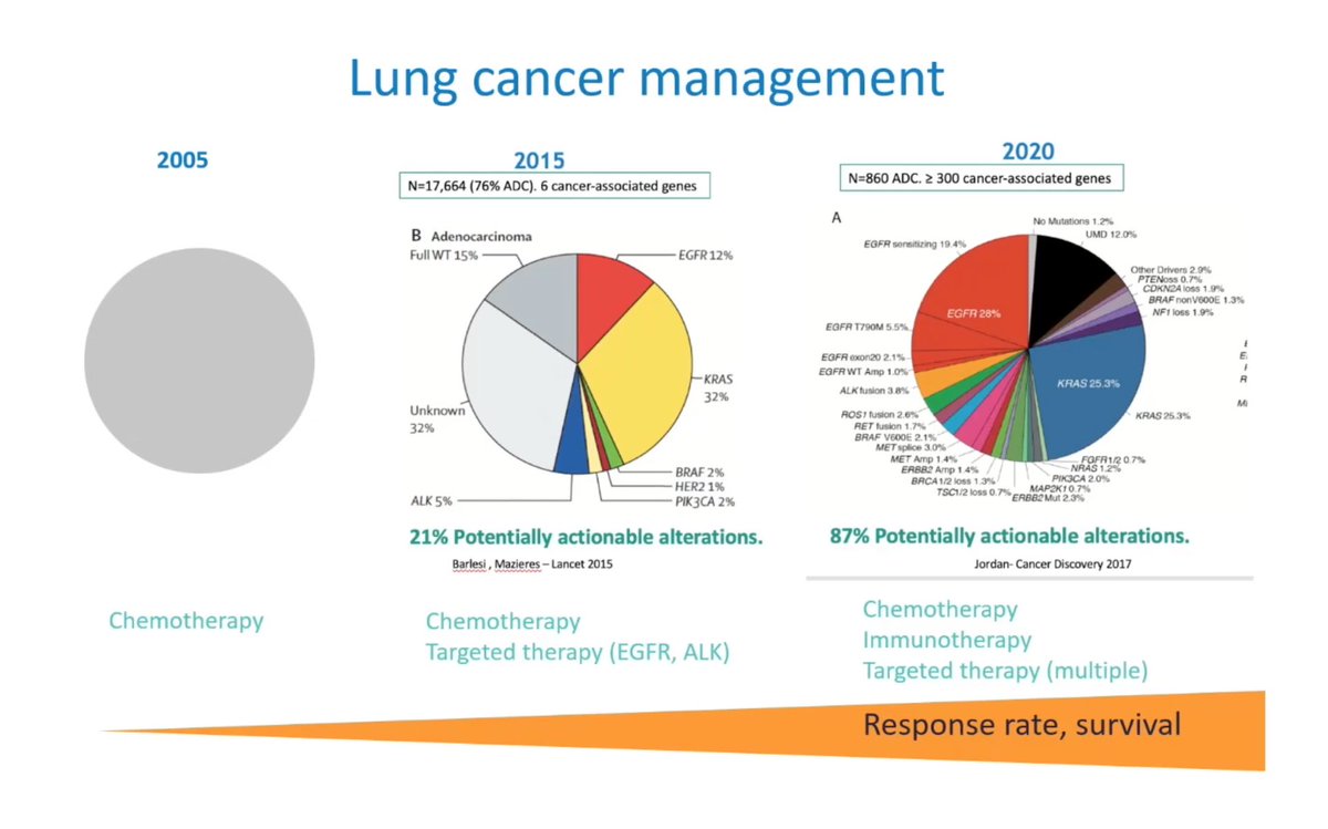 Lung Cancer Targeted Therapy