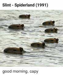 Slint Memes Exploring Slint's Spiderland: A Post Rock Masterpiece