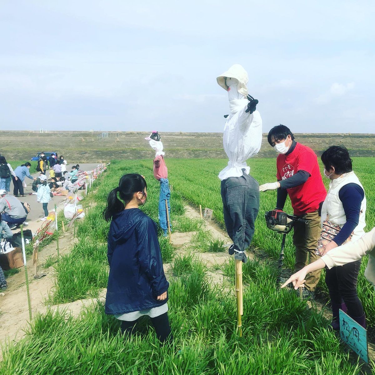 有機小麦ふすま「素材舎」保田商店(@sozaiya) - Twilog (ツイログ)