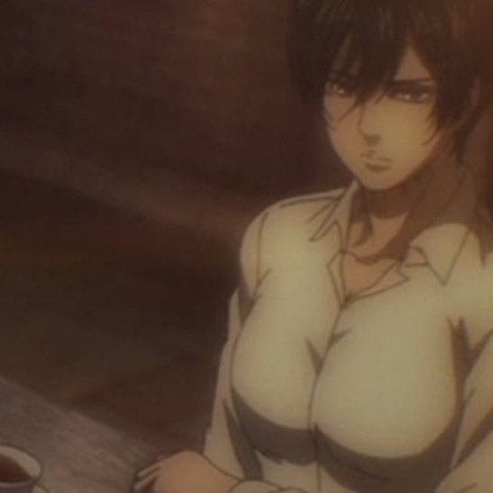 Mikasa Ackerman Hot