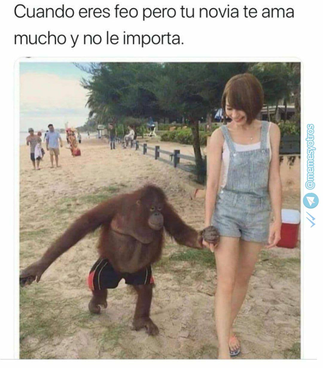 Tu Feo Meme TU FEO