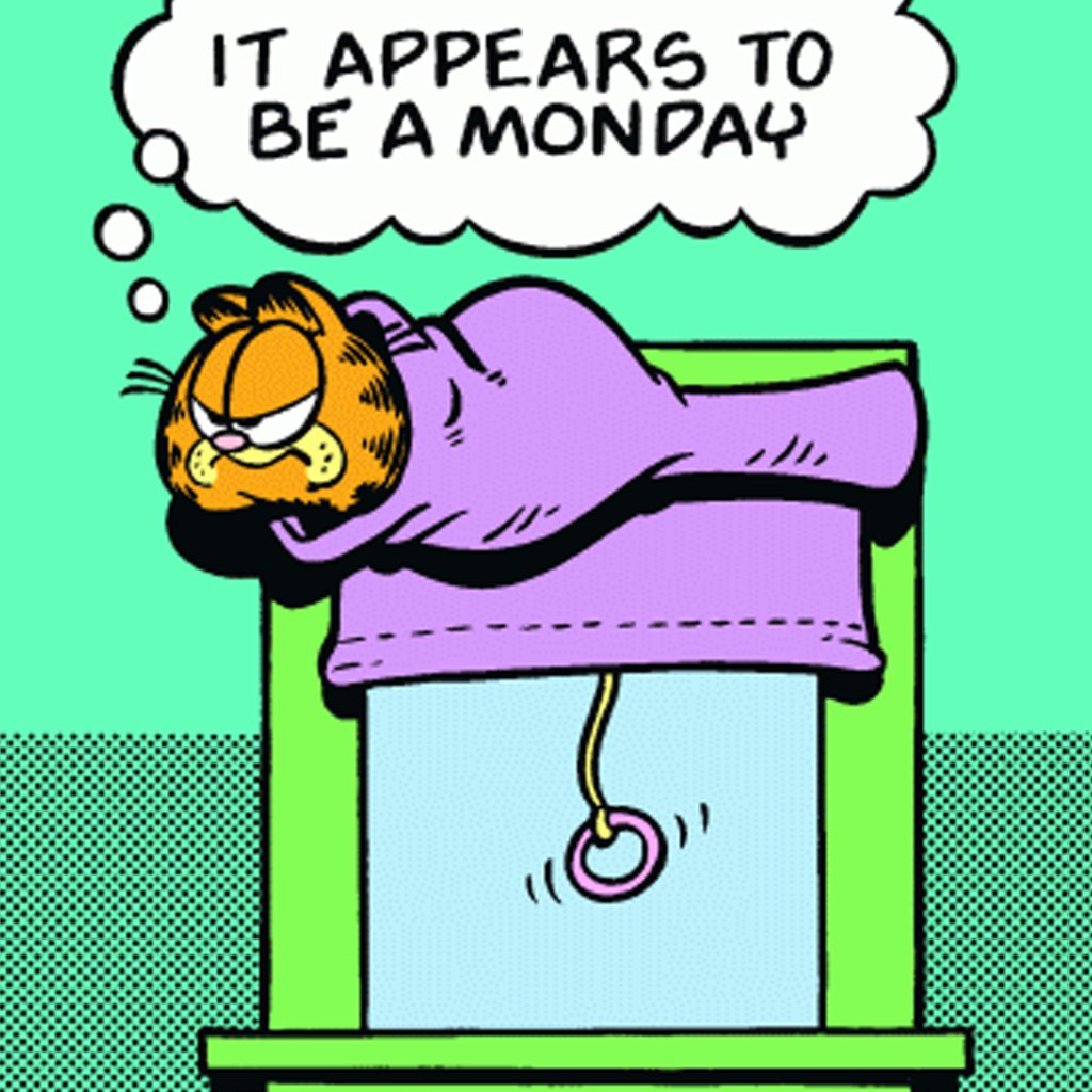 Case Of The Mondays Garfield