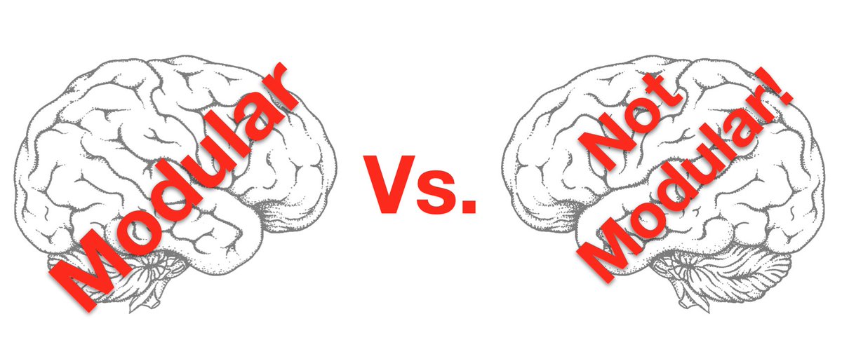 Brain Modularity