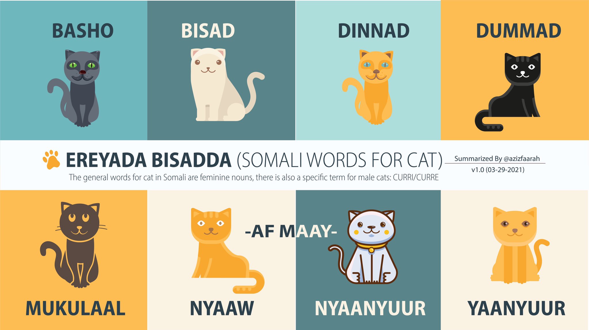 Common Somali Phrases