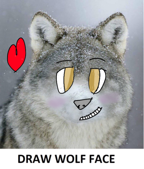 Yoru the Shadow Umbreon ( ☝️Yellowstone Magic!👇 ) on Twitter: "Funny Wolfy Face Meme ...