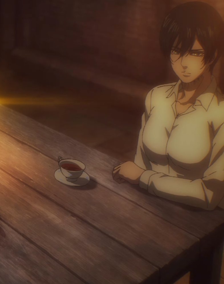 Mikasa Ackerman Ecchi