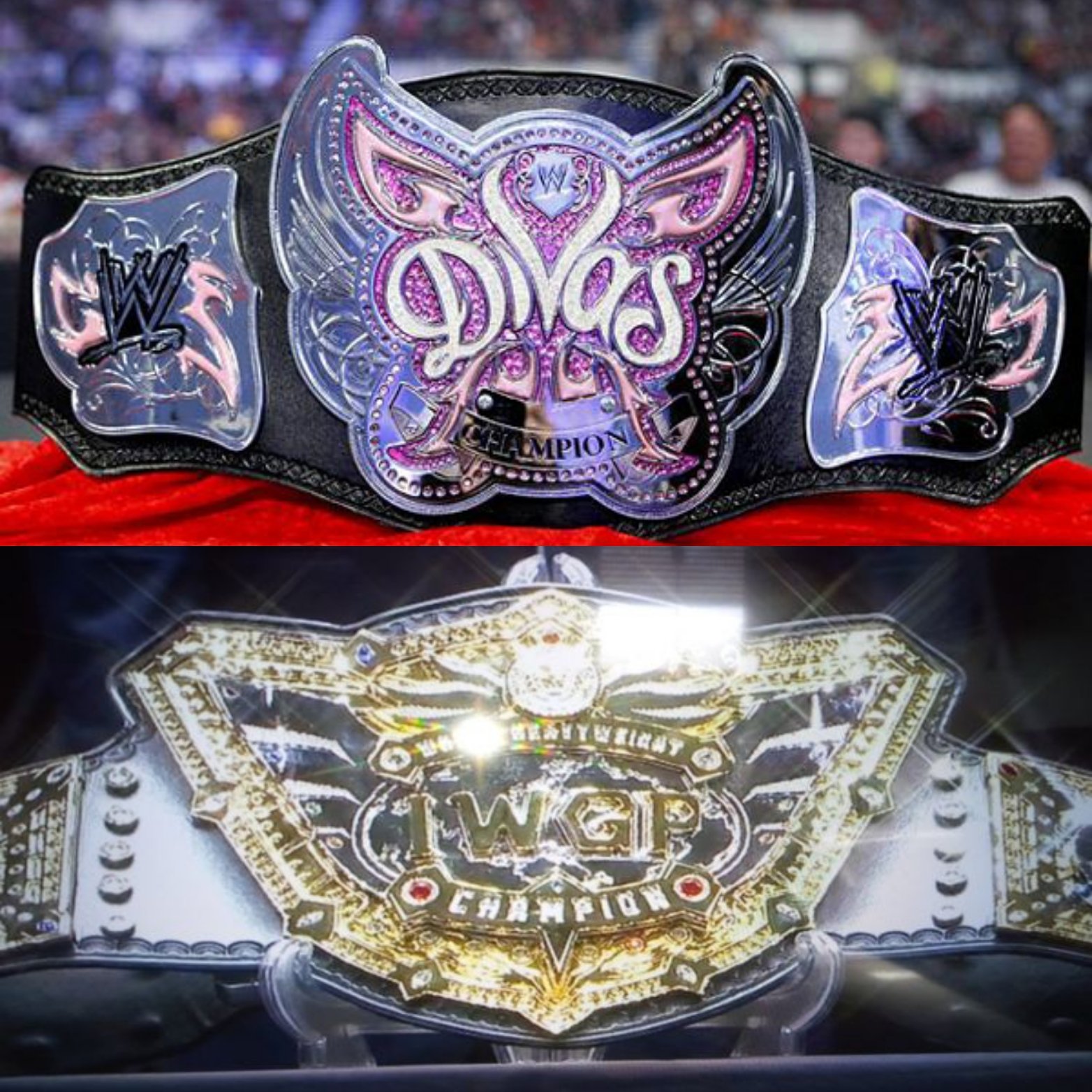 Divas Championship Logo Former WWE Divas Champ Layla Has One Regret