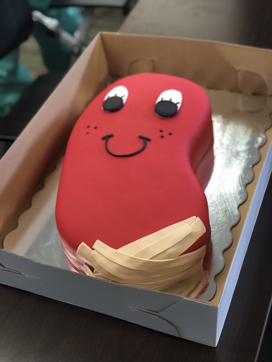 Nefrologia Pediatria Bologna Cake Bakllavameporosi