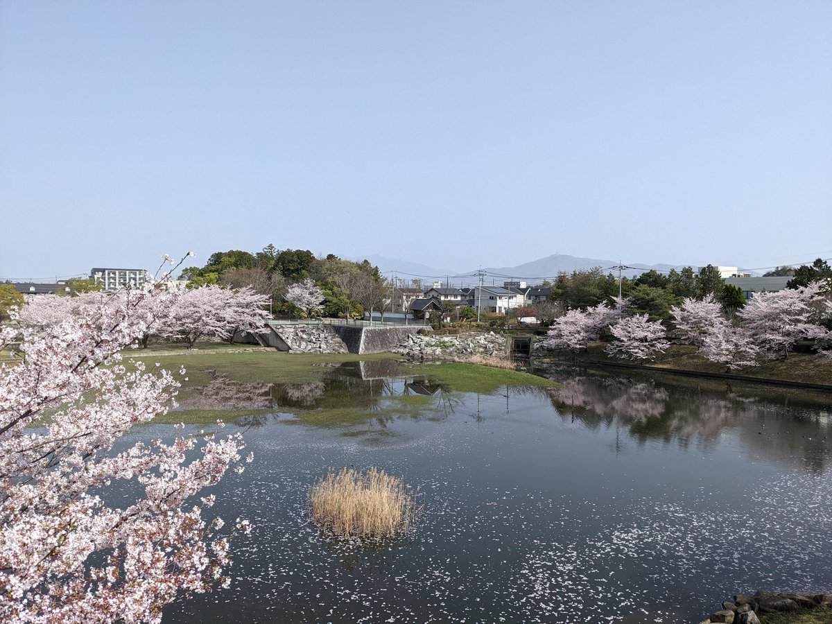 orefolder on Twitter: "おはようございます。12月21日(月)晴れ。2週間ぶりの散歩にきました。今年はもう寝坊しないようにがんばろう。…