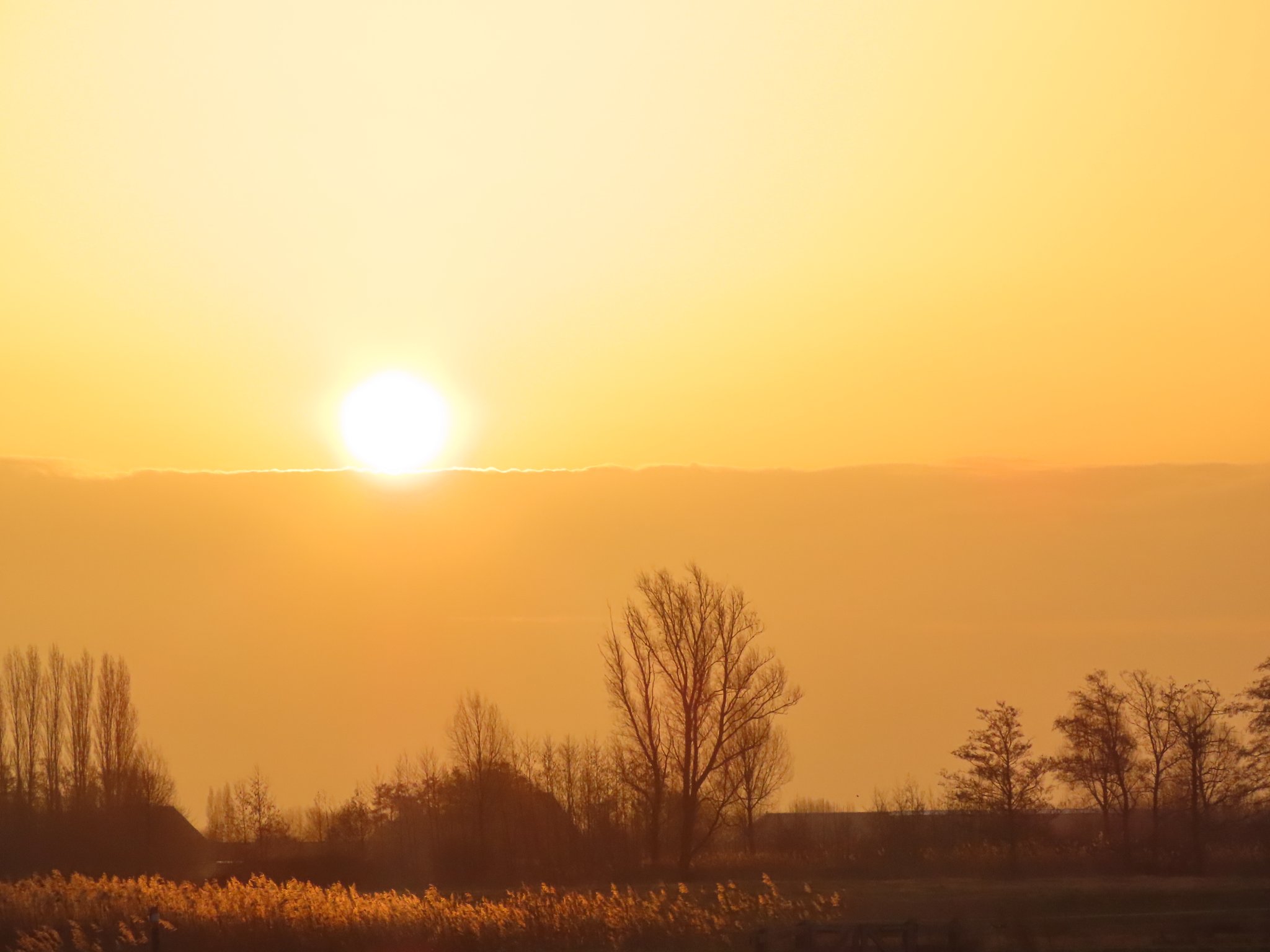 Buienradar on Twitter: "Het is niet alleen warmte dat onze kant op komt vandaag! https://t.co ...
