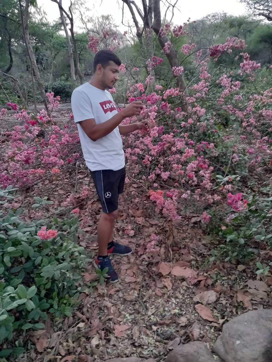 Ch.Deepak Beniwal (@ChDeepakBeniwa1) | Twitter