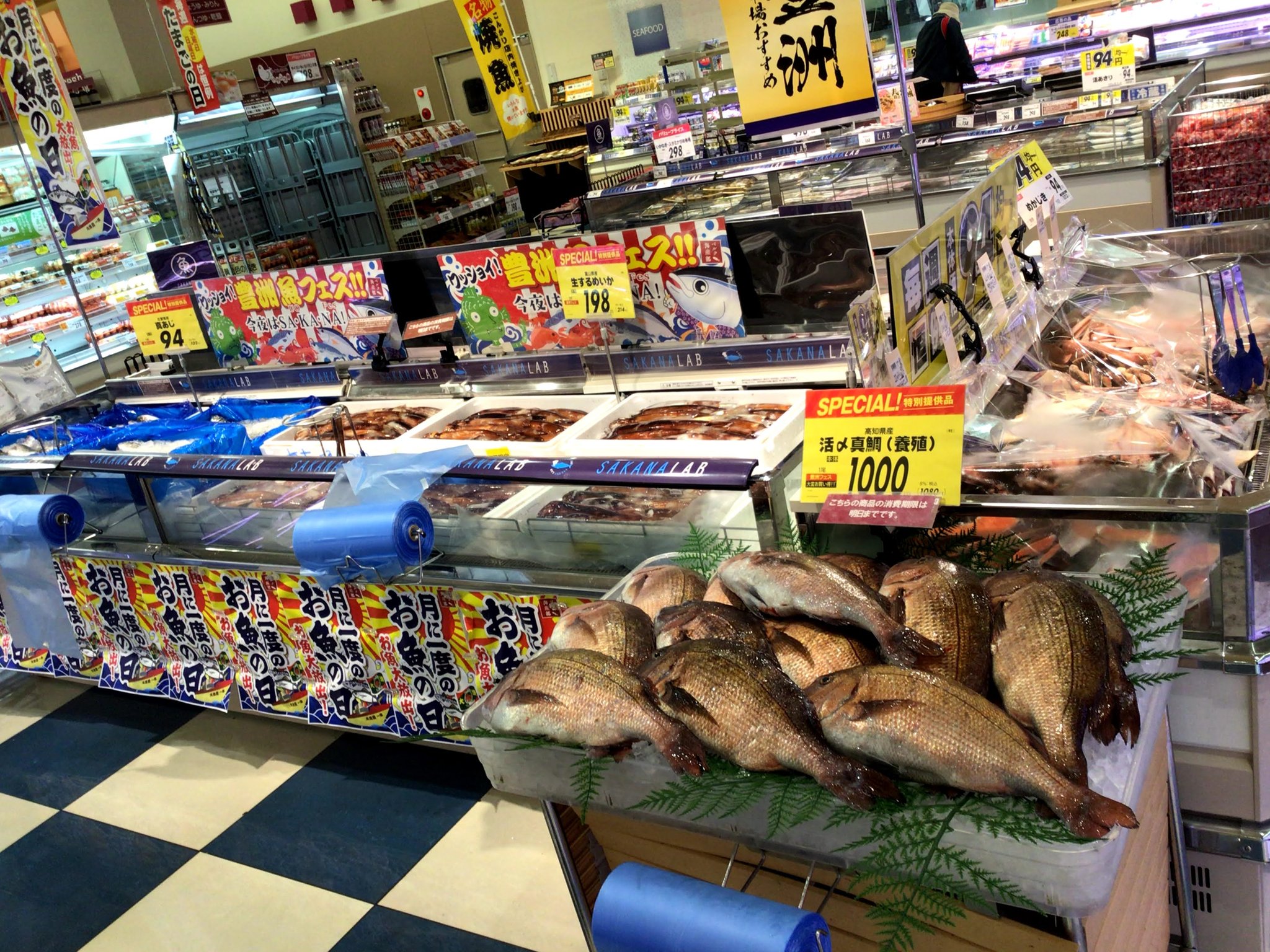 ベルク（Belc） on Twitter: "今日はお魚の日🐟 豊洲市場でこれぞ！というお魚を仕入れてきましたよ🙋 以下のお店の近くの方はお見逃しなく↓↓ フォルテ船橋店、フォルテ蘇我店 ...