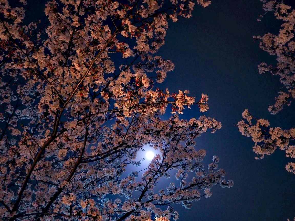 一双(@issow) - Twilog (ツイログ)