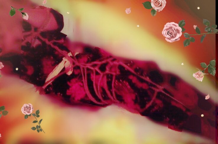 華乃女王様🌹🐝Mistress Kano.. on Twitter: "I put my favorite kimono on a slave. And I enjoyed bondage ...