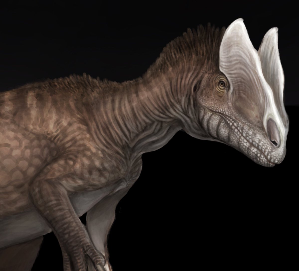 Cameron Dillon (@Cam_ornitho) さんのイラスト・マンガ作品まとめ (4 件) - Twoucan