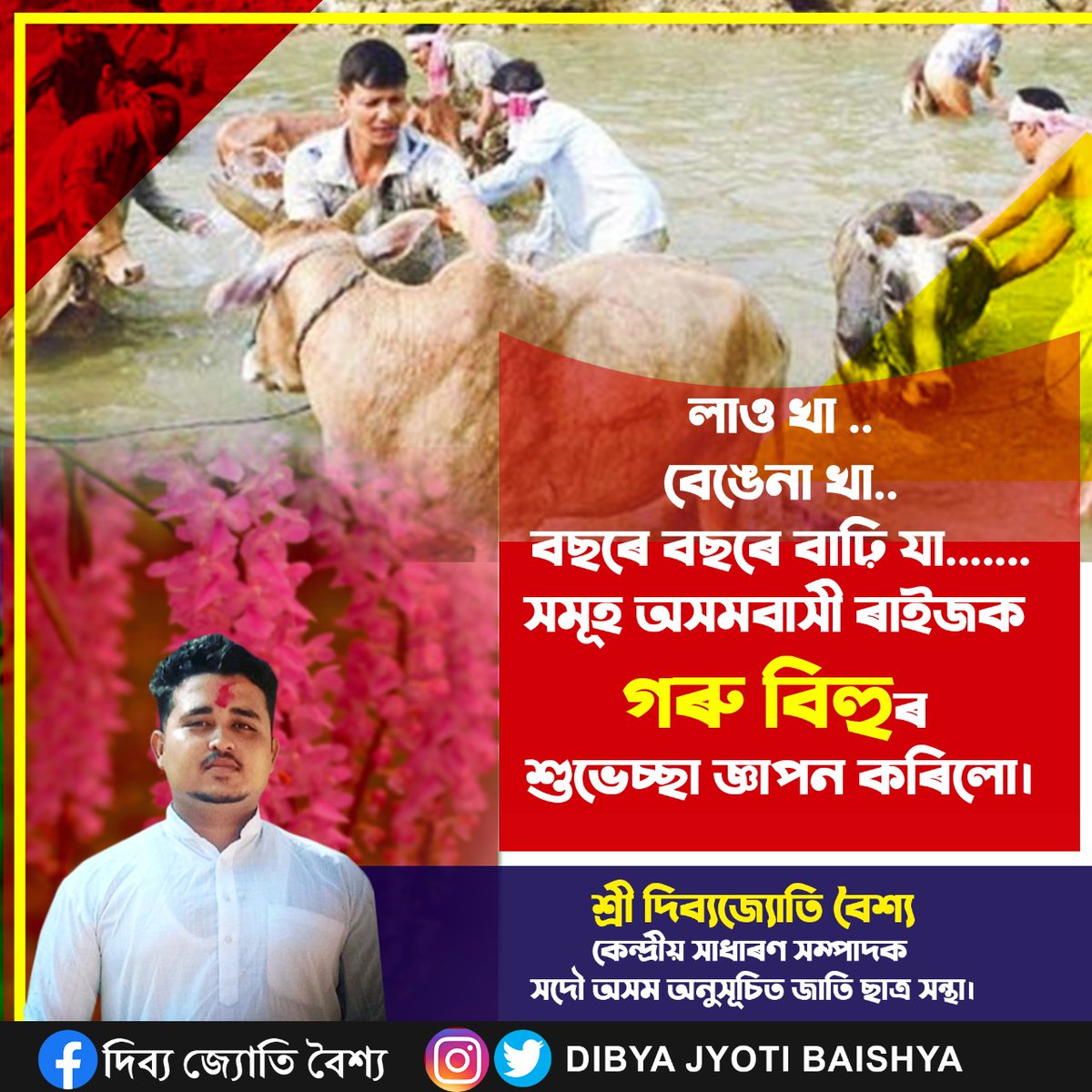 Dibya jyoti Baishya (@2Zd6KGzajme8JH9) | Twitter