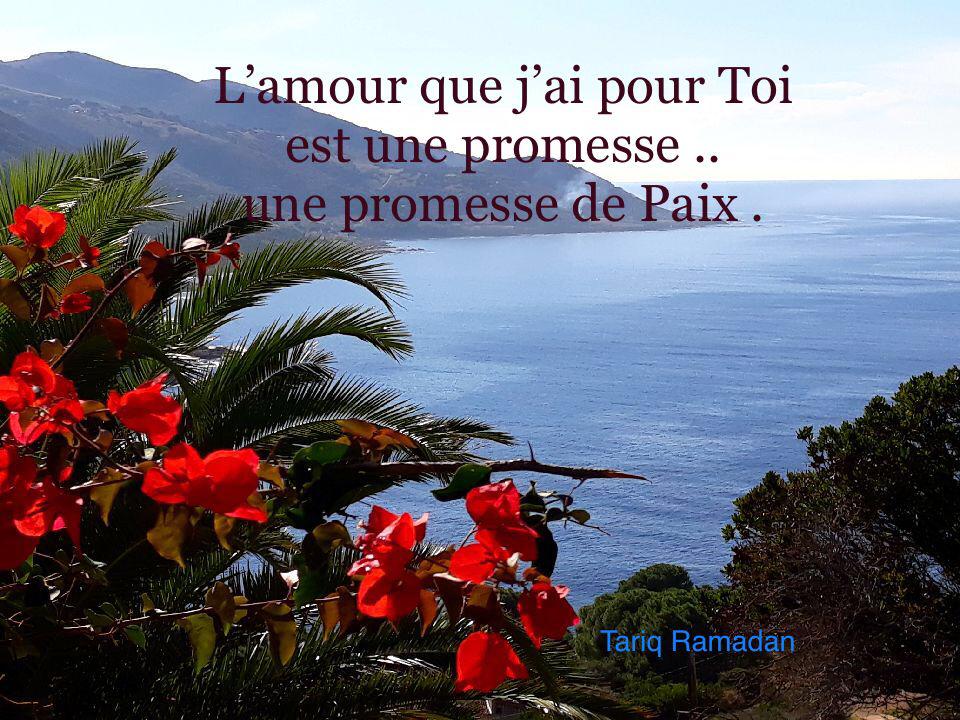 Maryam Ramadan (@BintBattuta13) | Twitter