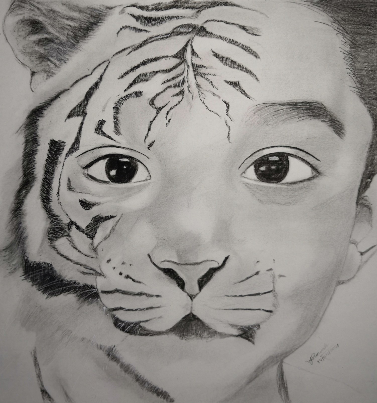 Half Man Half Tiger Face Drawing