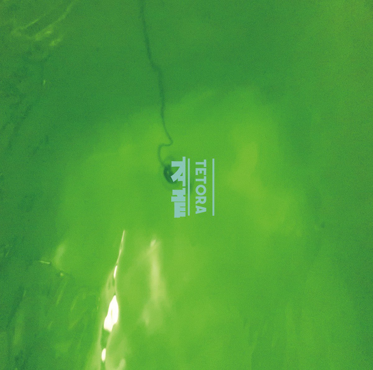 TETORA on Twitter: "【ジャケット公開！】 5月12日発売 New Single「本音」 ジャケット写真公開！📺 いよいよ来月です。 お楽しみに！！…