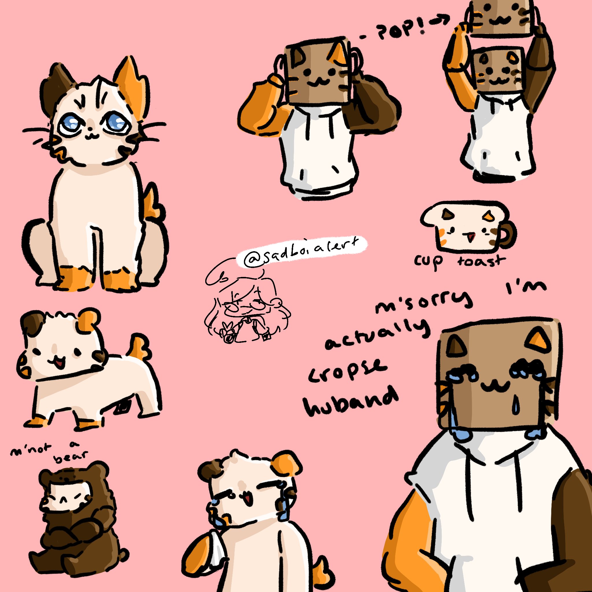 Turkey Cat Hetalia