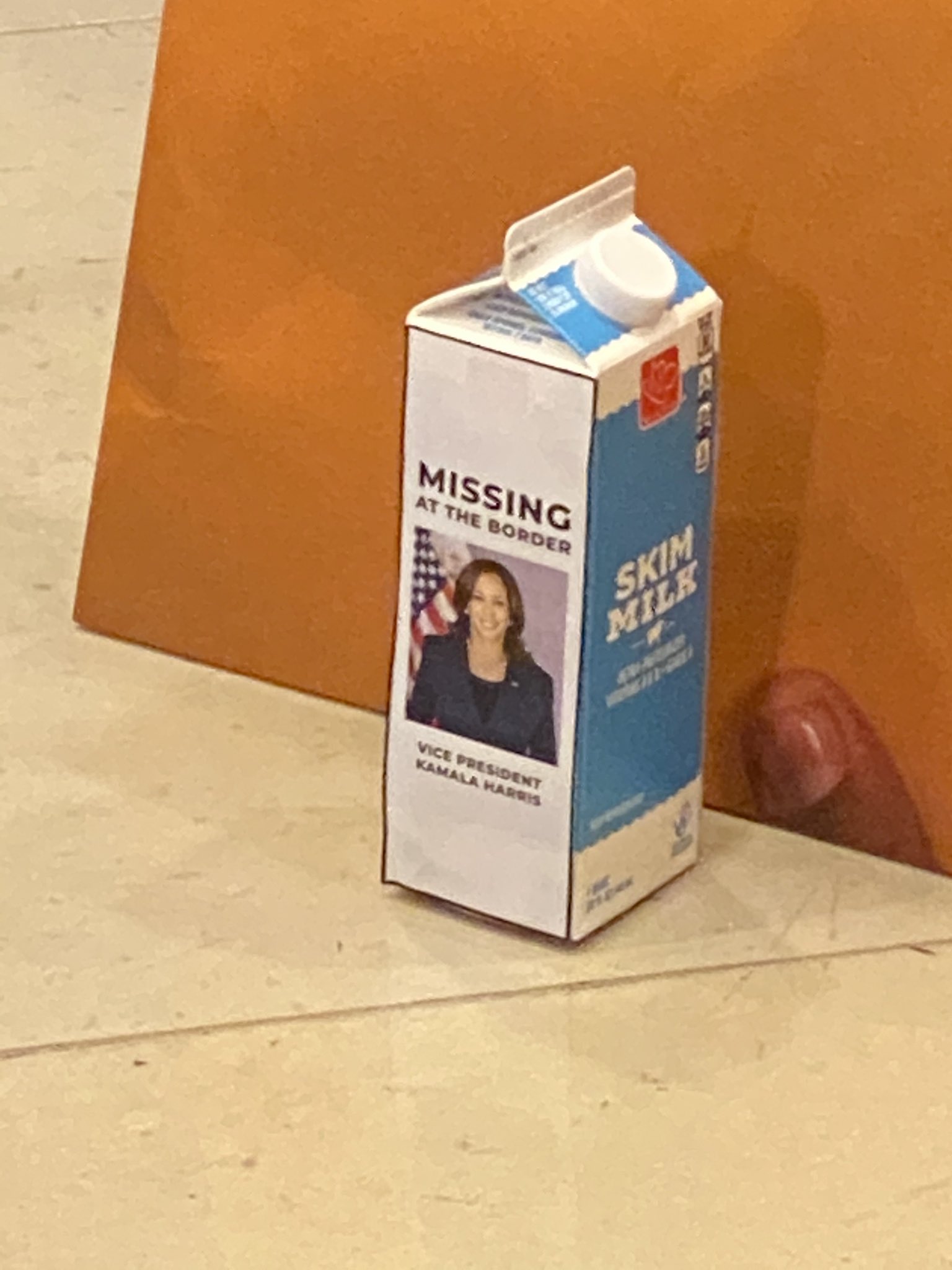 Milk Carton Missing